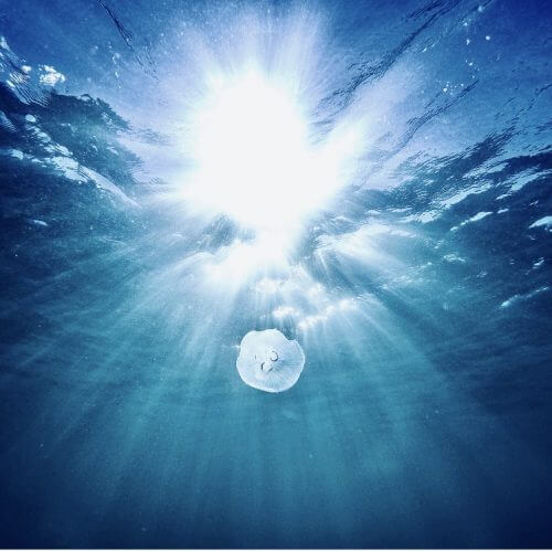 Why silence is good for your soul - Kerry Hanna Coaching